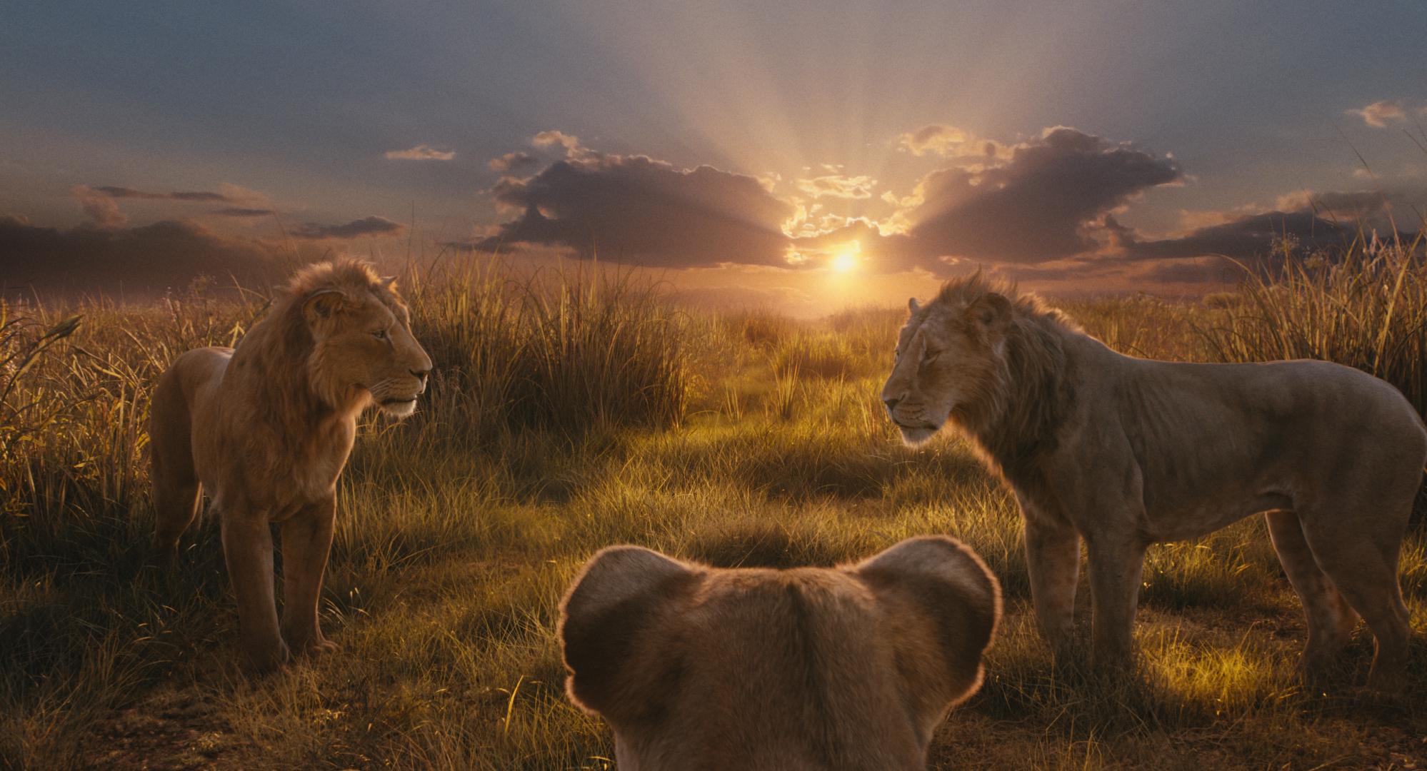 Review Mufasa The Lion King: Tipikal Prekuel Disney, Gak Penting